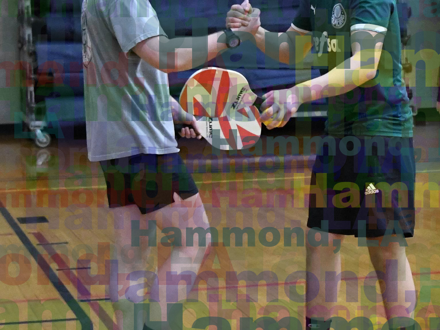 Pickleball in Hammond Louisiana | PickleballHammond.com